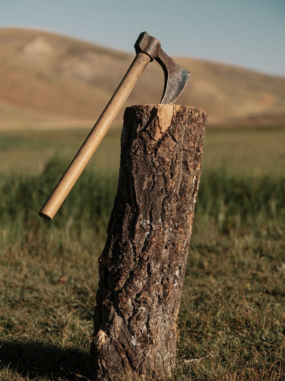 Emergency Tree Removal Midrand | Call:+27 60 097 2285